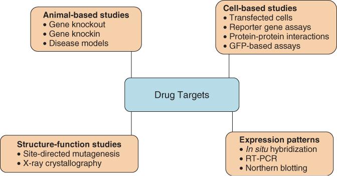 [PDF] Molecular Pharmacology by John Dickenson eBook | Perlego