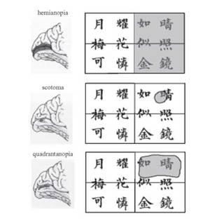 [PDF] Making up the Mind by Chris Frith eBook | Perlego