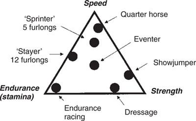 [PDF] Equine Exercise Physiology by David Marlin eBook | Perlego