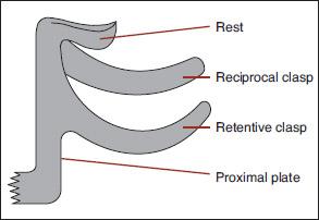 [PDF] Stewart's Clinical Removable Partial Prosthodontics by Rodney D ...