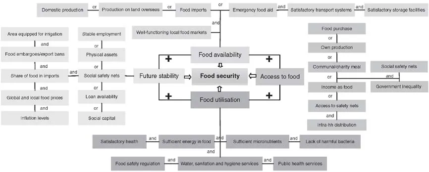 [PDF] Global Food Security and Development Aid by Ivica Petrikova ...
