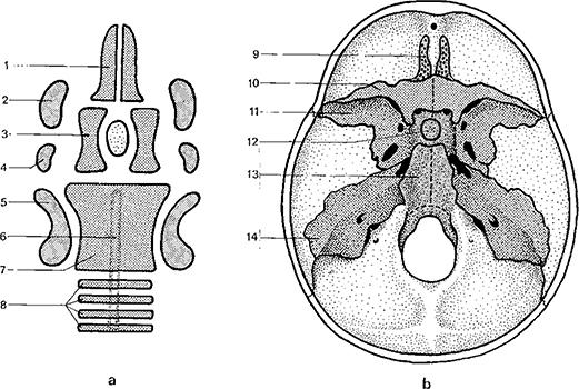 [PDF] Fundamentals of Craniofacial Growth by Andrew D. Dixon eBook ...