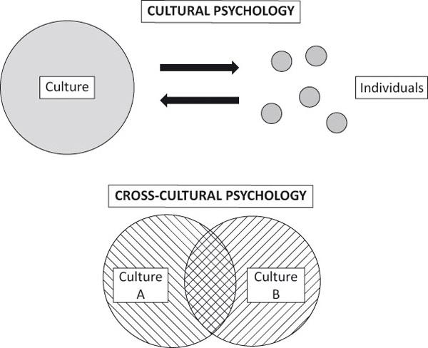 [PDF] Cross-Cultural Psychology by Eric B. Shiraev eBook | Perlego