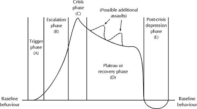 [PDF] Anger Management by Adrian Faupel eBook | Perlego