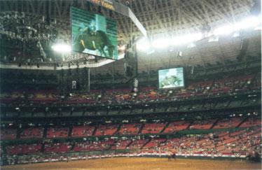 [PDF] Sports Architecture by Rod Sheard eBook | Perlego