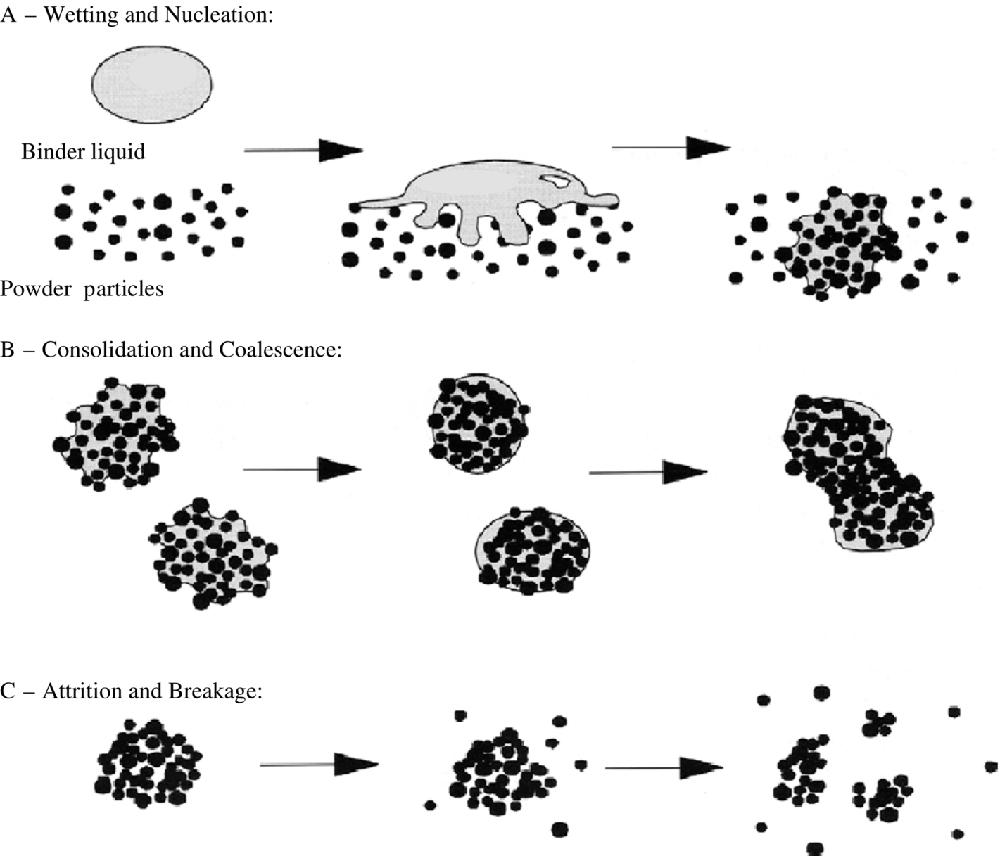 [PDF] Handbook of Pharmaceutical Wet Granulation by Ajit S. Narang ...