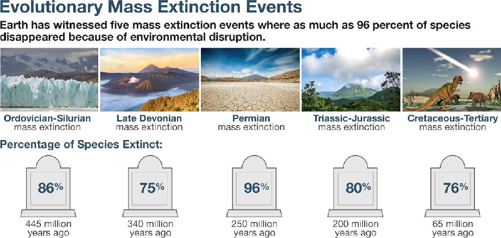 [PDF] Digital Transformation by Thomas M. Siebel eBook | Perlego