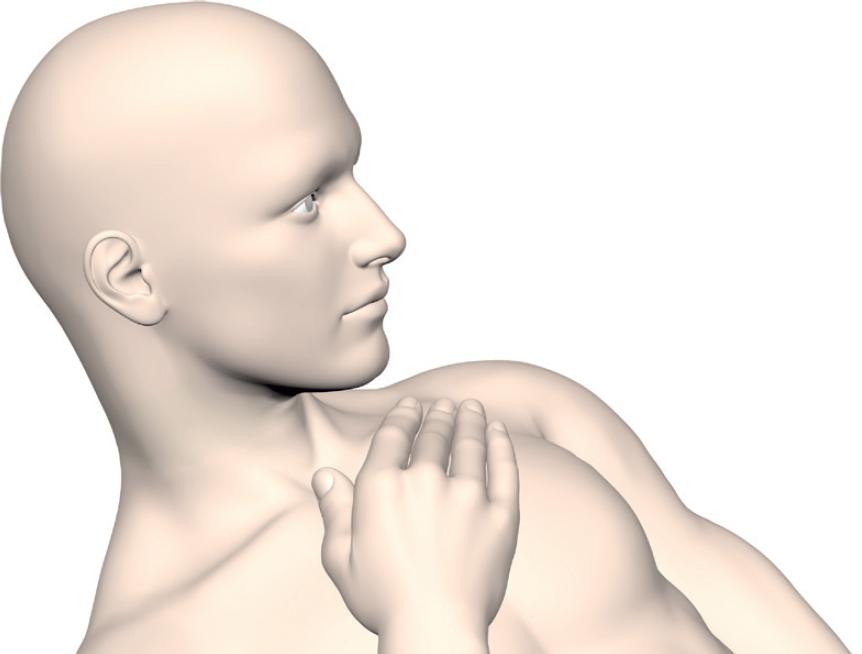 [PDF] Muscle Testing by Earle Abrahamson eBook | Perlego