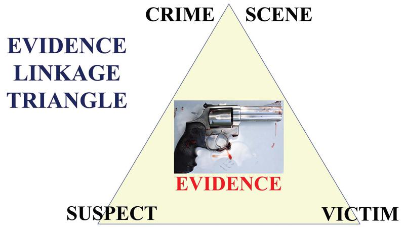 [PDF] Processing Vehicles Used in Violent Crimes for Forensic Evidence ...