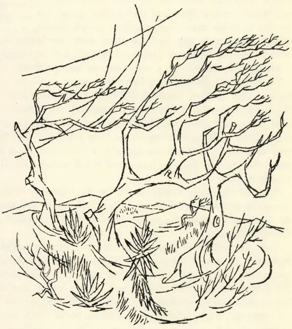 [PDF] The Hatterasman by Ben Dixon MacNeill | 9781787206168