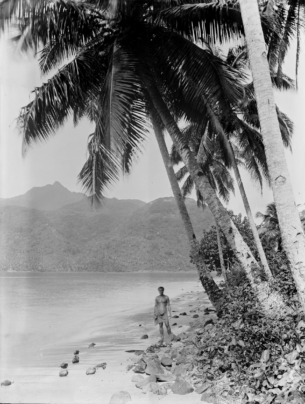 [PDF] Coconut Colonialism by Holger Droessler eBook | Perlego