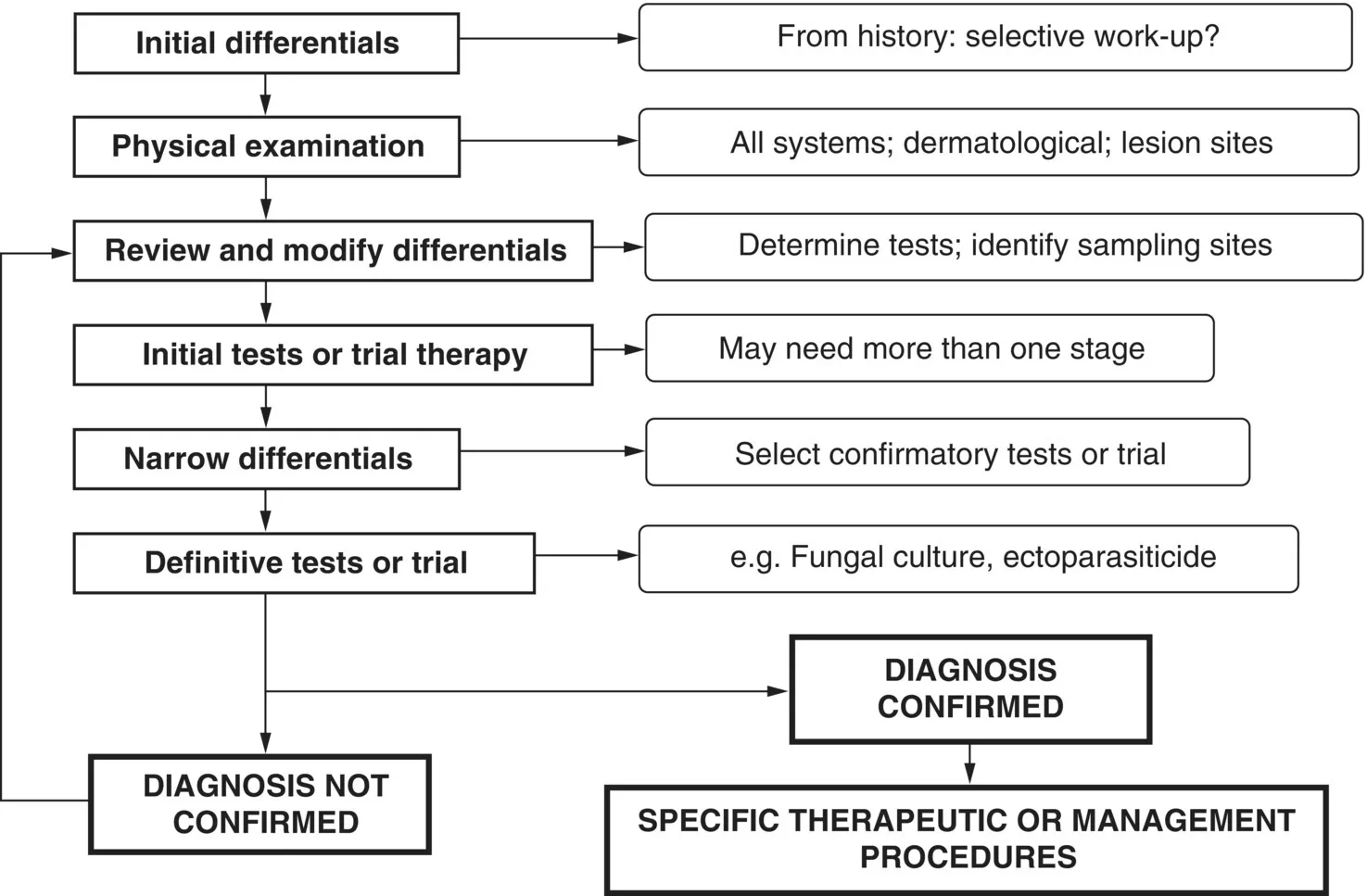 [PDF] Practical Equine Dermatology by Janet D. Littlewood, 2nd edition | 9781119765486 ...