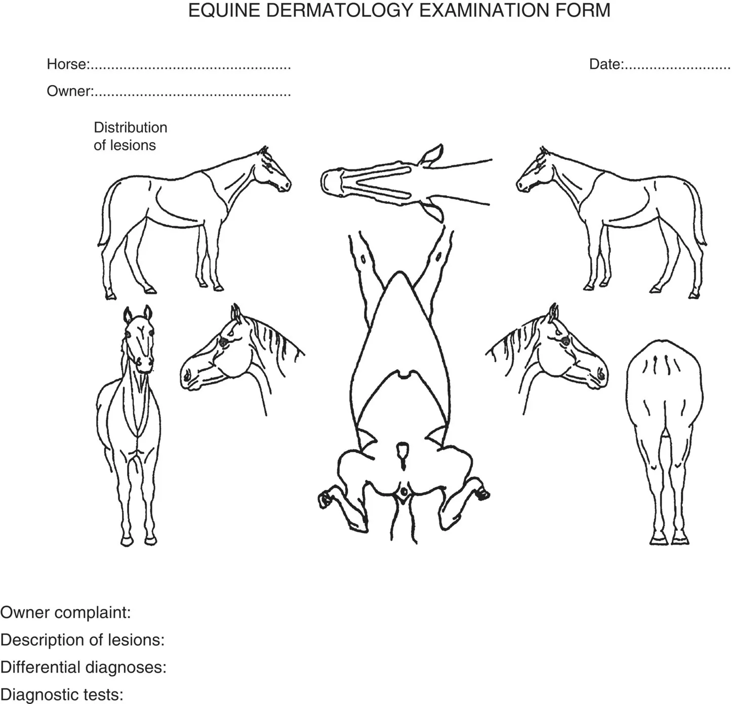 [PDF] Practical Equine Dermatology by Janet D. Littlewood, 2nd edition | 9781119765486 ...