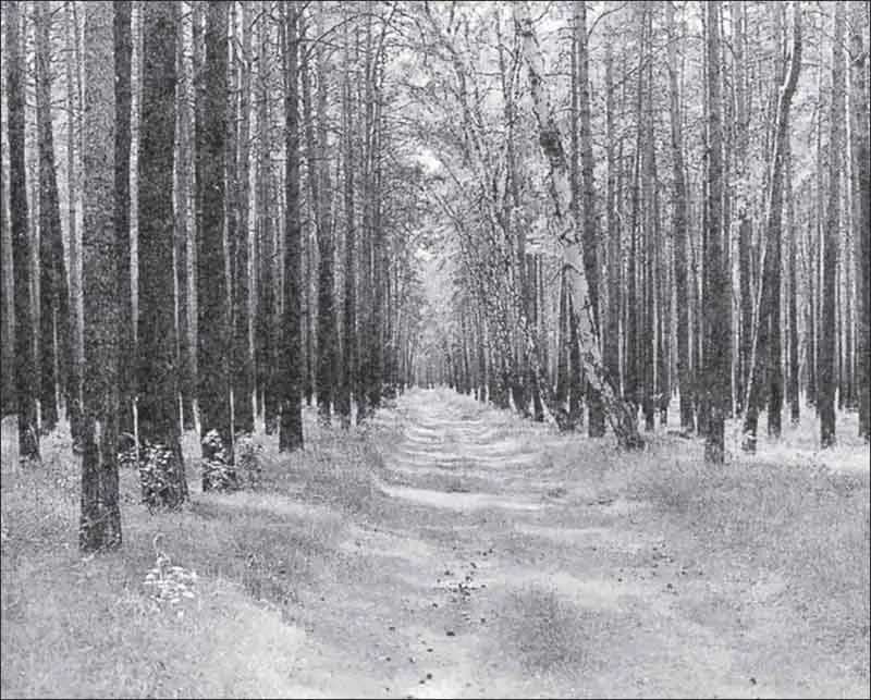 [PDF] The Battle of Halbe, 1945 by Eberhard Baumgart | 9781784387129