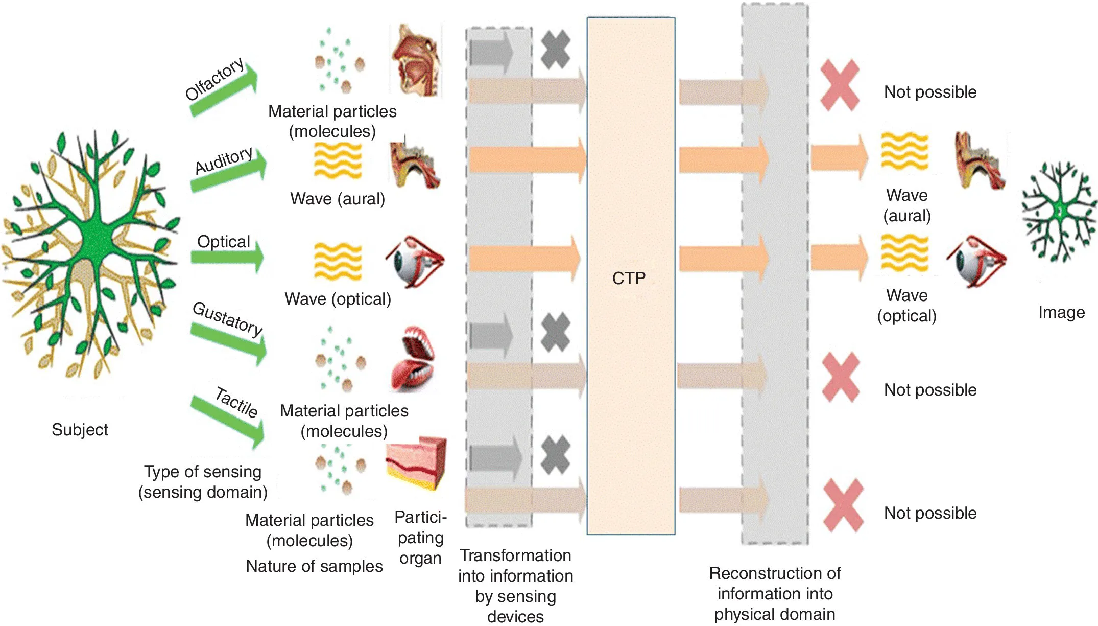 [PDF] Human Bond Communication by Sudhir Dixit | 9781119341338 ...